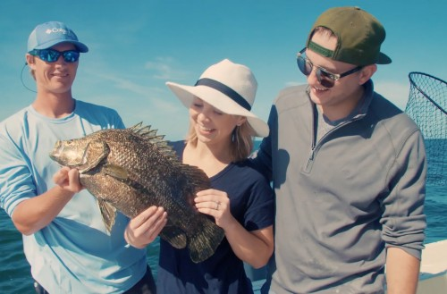 Cook Your Catch On Paradise Coast Paradise Coast