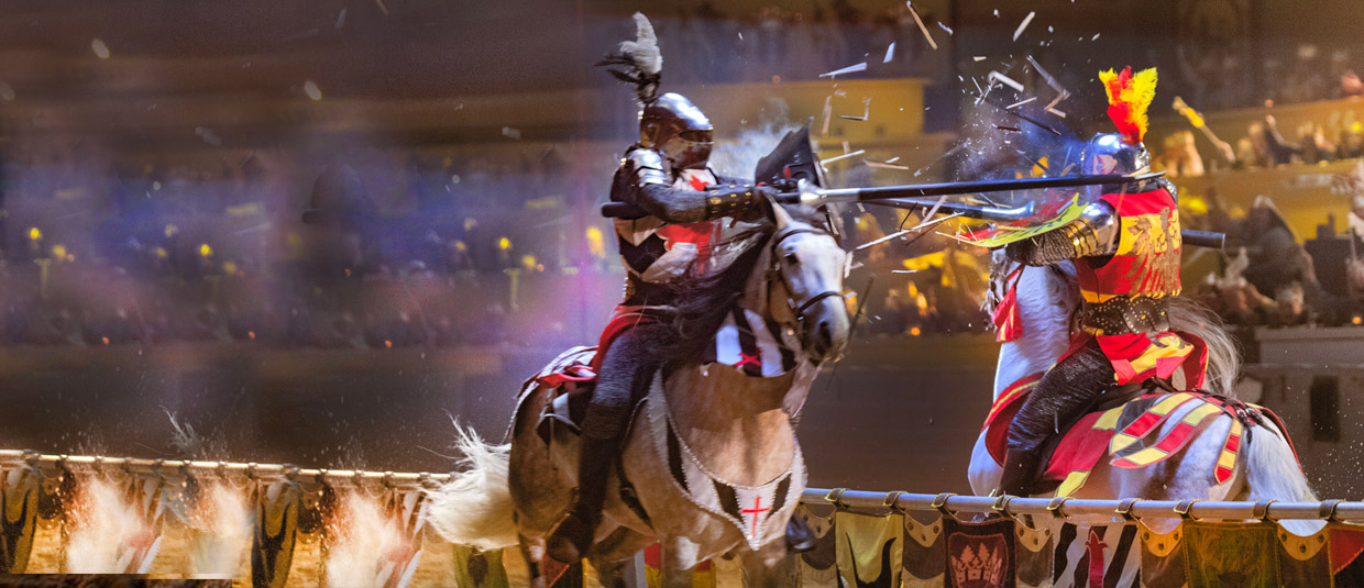 Magnificent Horses At Medieval Times Orlando Attractions