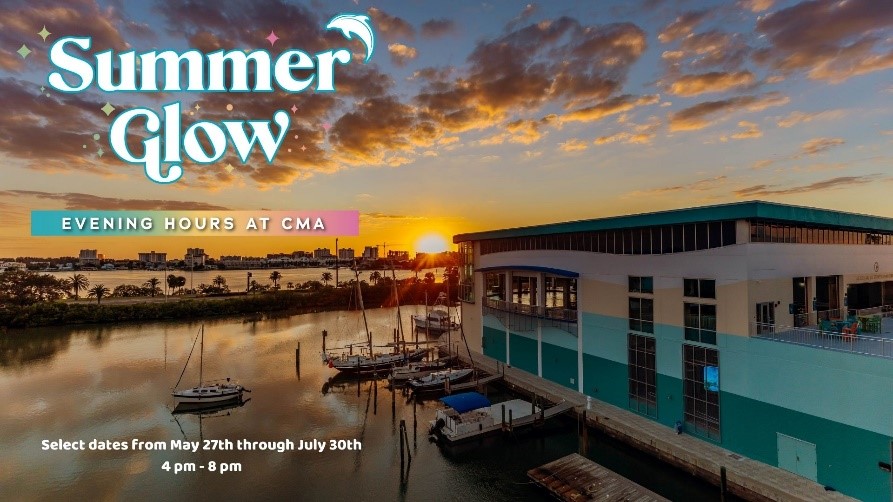Summer at Clearwater Marine Aquarium Orlando Attractions