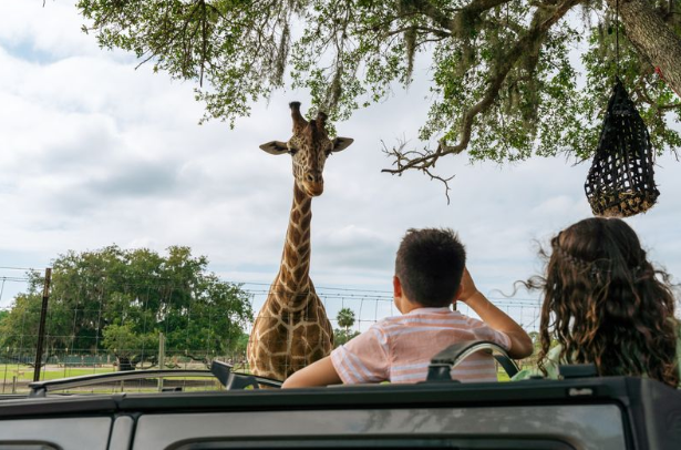 5 Reasons Why Kids Love Wild Florida Drive-Thru Safari Park