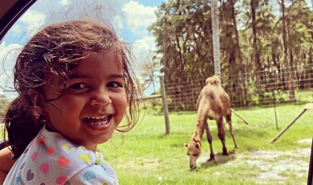 5 Reasons Why Kids Love Wild Florida Drive-Thru Safari Park